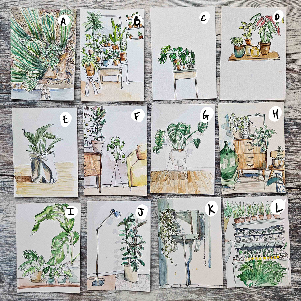 Collection Of Original Illustrations Of Watercolour Plants – MadeByHarriet